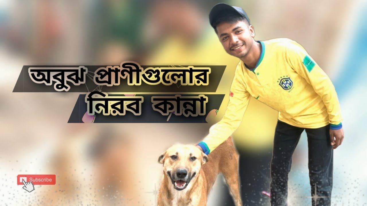 অবুঝ প্রাণীগুলোর নিরব কান্না🥲💖Walk with munna - YouTube