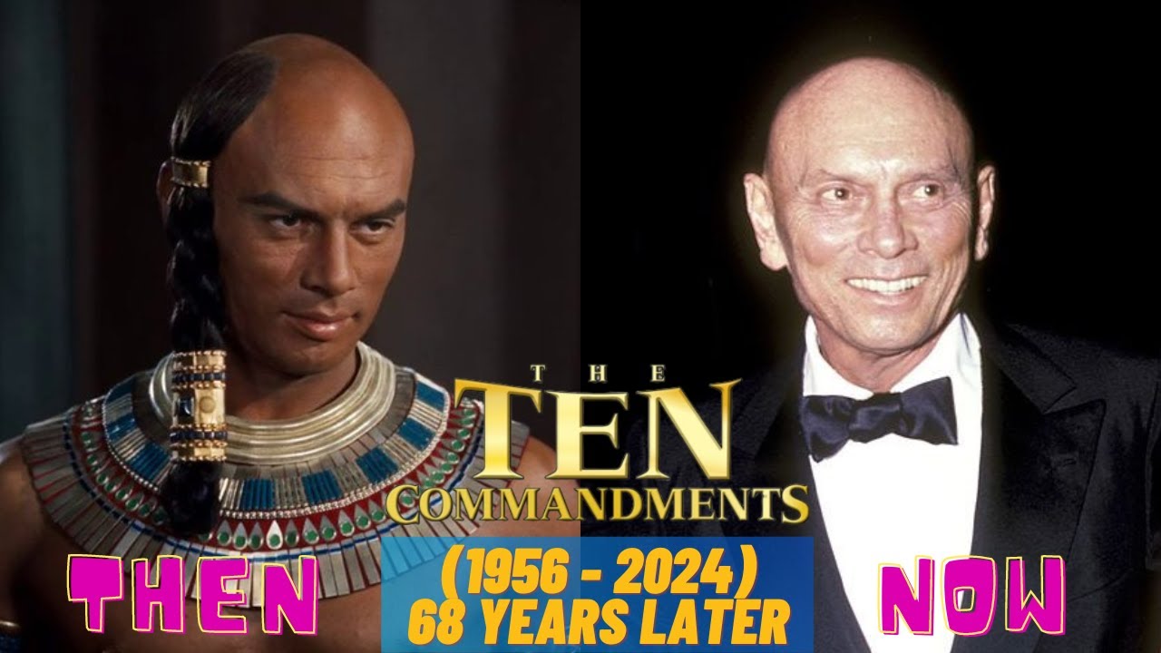 🌟The Ten Commandments 1956🌟 Cast Then and Now (1956 VS 2024) How Have ...