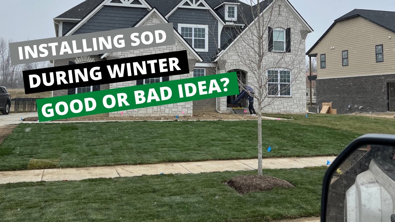 Can you install Sod in the Winter? Sod and Sprinklers Install Vlog ...
