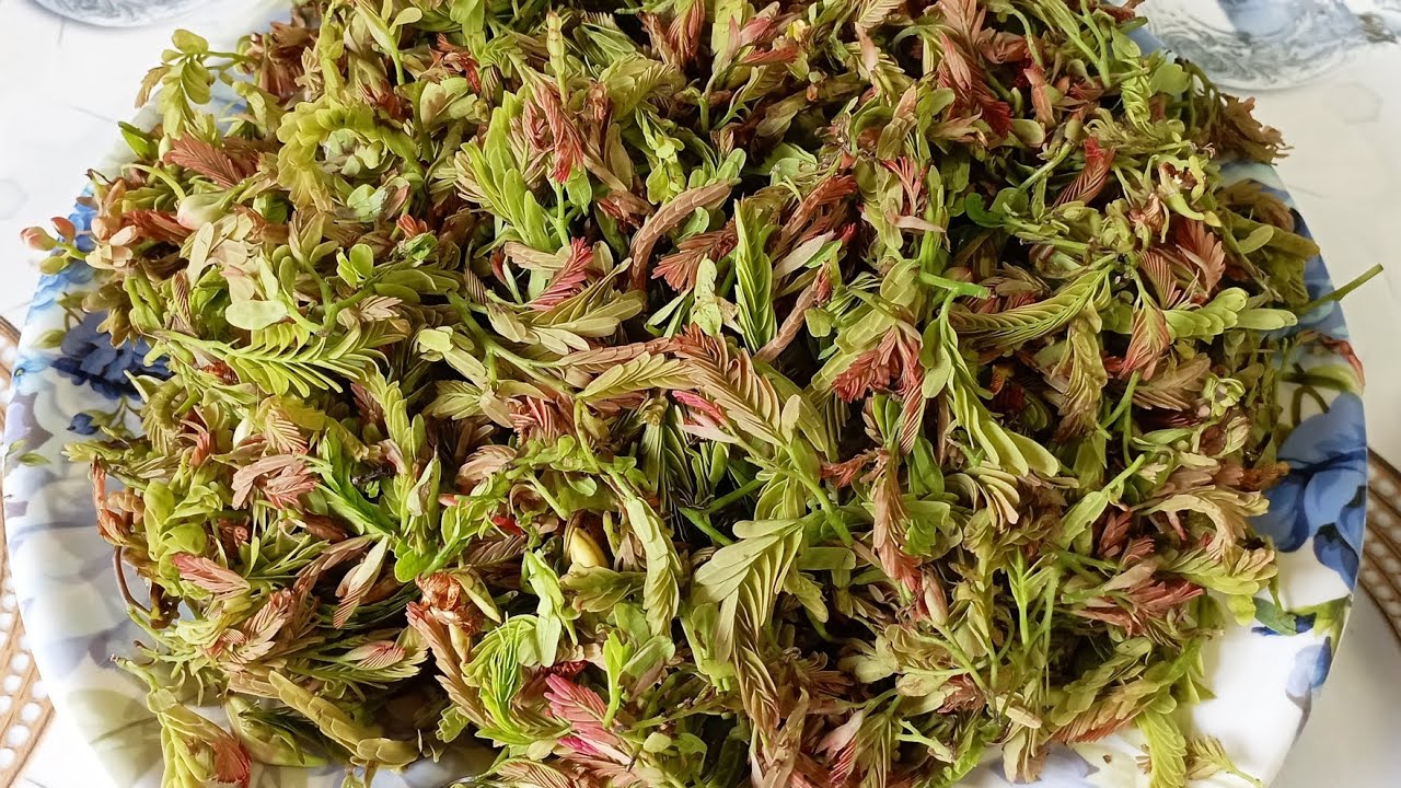 Hyderabadi chugur | imli ke fresh patte aur phool ka salan | tamarind ...