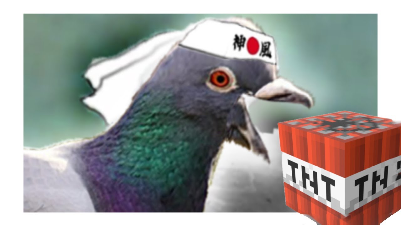 PGM Stands for PIGEON GUIDED MUNITION - YouTube