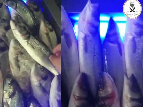 Istanbul Meyhane Baku(The Fish Restaurant)