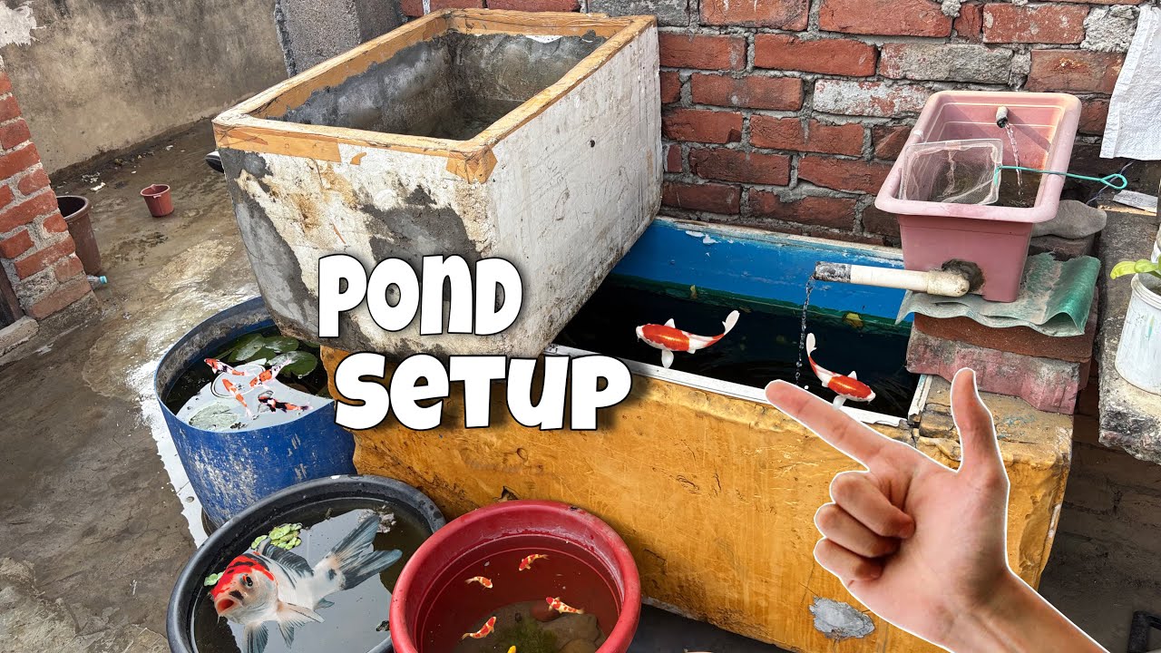 RE-Setup of Outdoor Terrace ponds 🔥 - YouTube