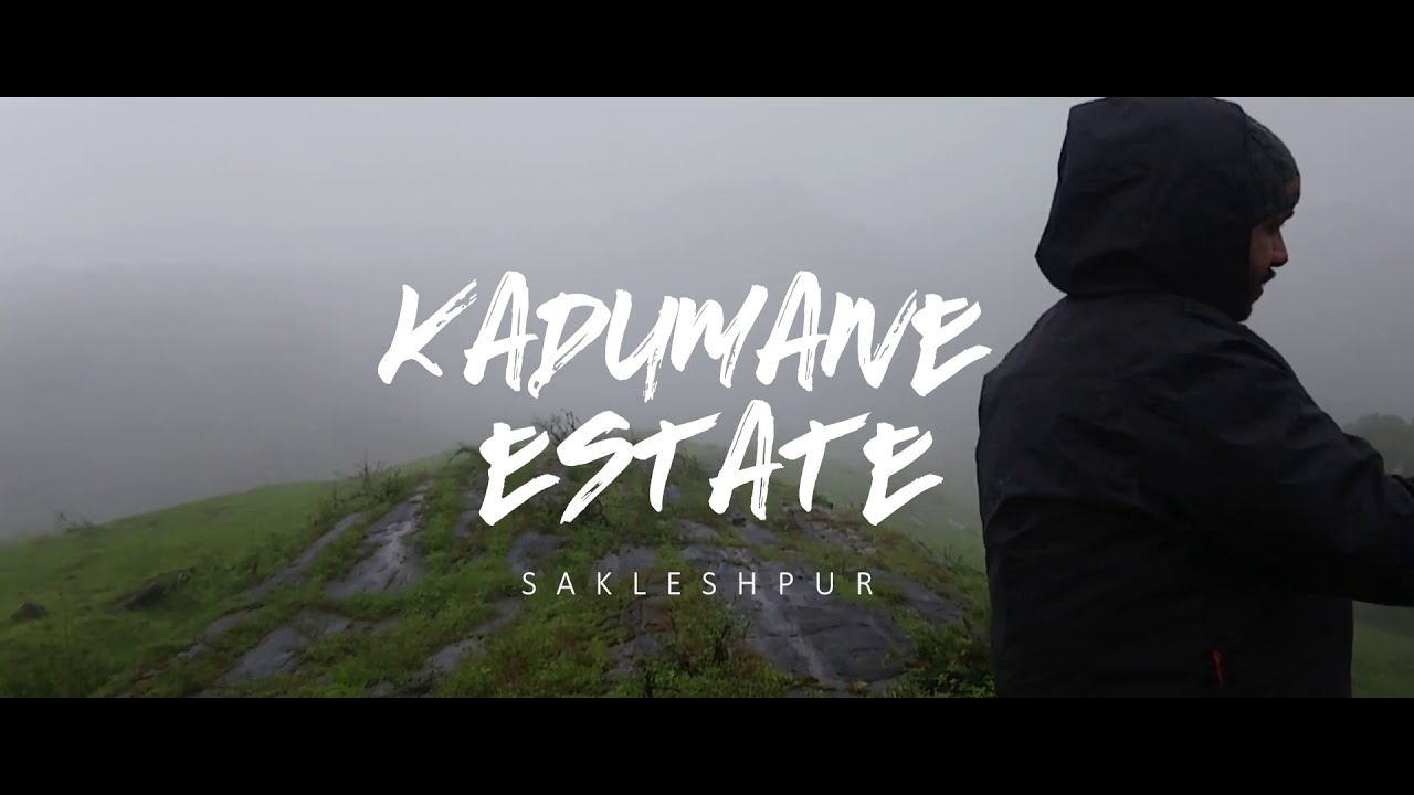 Kadamane Tea Estate I Hassan (Sakleshpur)-Western Ghat-Misty Tea ...