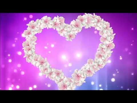 Böyük toy, Reklam və Slideshow by SS production