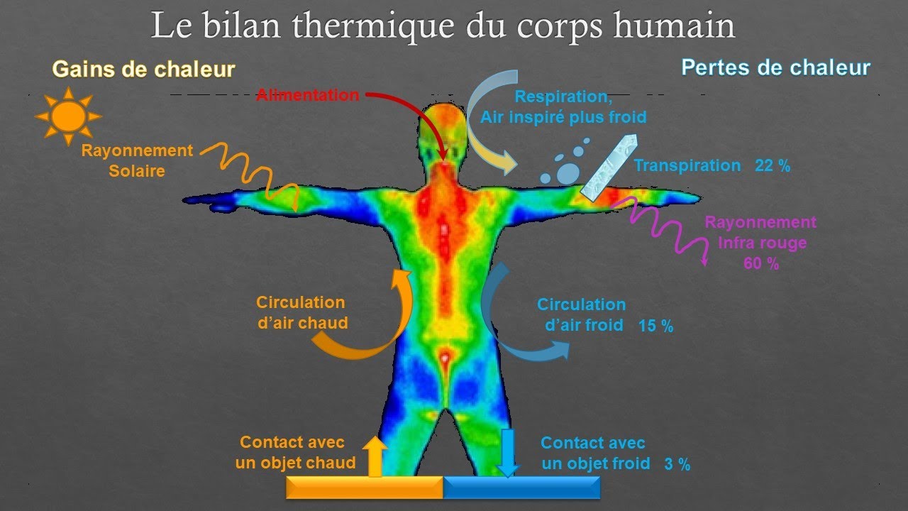 maprofSVT.2S 1ereES bilan thermique du corps humain - YouTube
