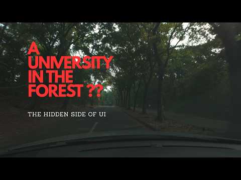 A Quiet Morning Drive to Universitas Indonesia Depok 4K  | Car Sound Only