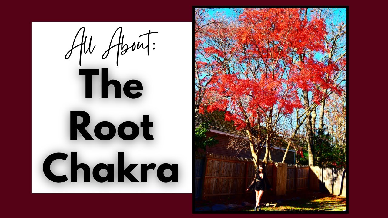 The Power of Being Rooted & Grounded | Root Chakra Basics + 8 Ways To ...