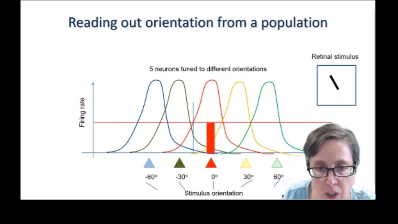 PSC3008 Population coding - YouTube