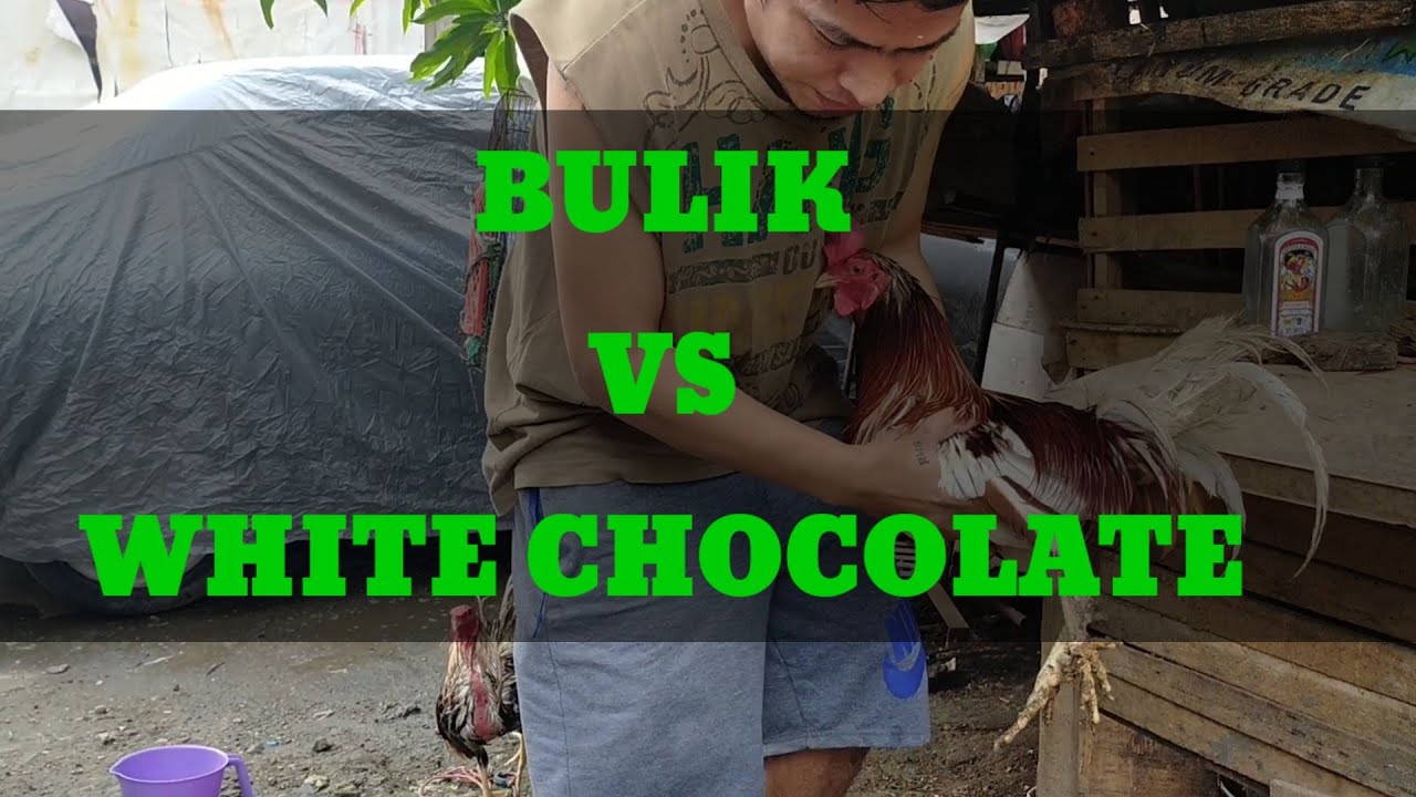 Bulik& white chocolate [pinaliguan ko mga alaga Kung manok guys - YouTube