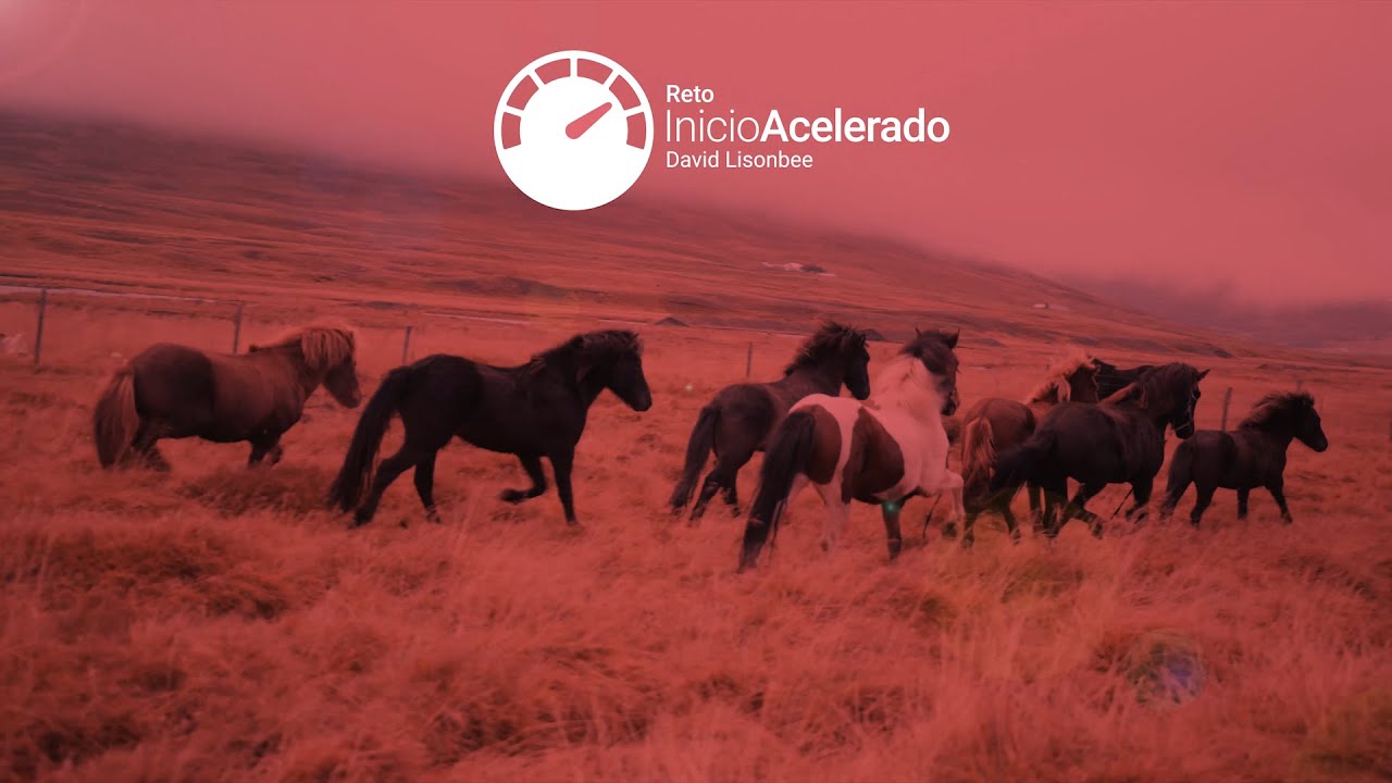 David Lisonbee Anuncia Los Ganadores del incentivo. - YouTube