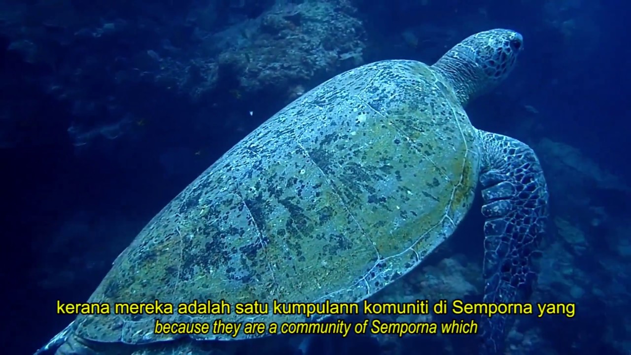 Bokko' Kami Maitu - YouTube