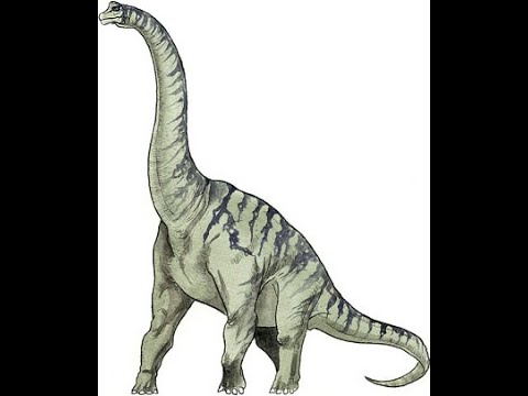 Ultrasaurus Explained
