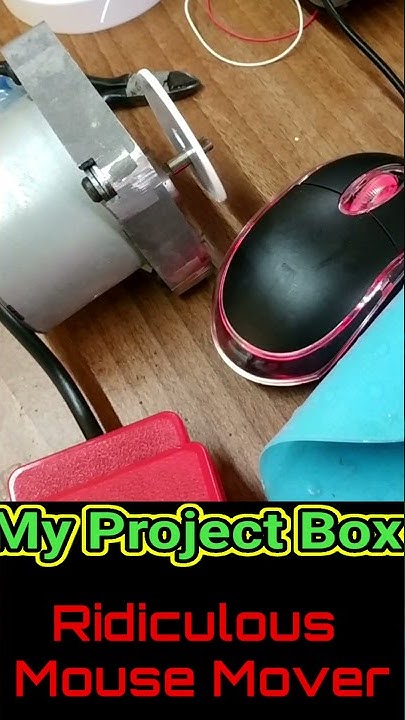 #Shorts #MouseMover - YouTube