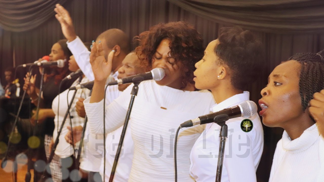 AVULEKA - TLHC WORSHIP - YouTube