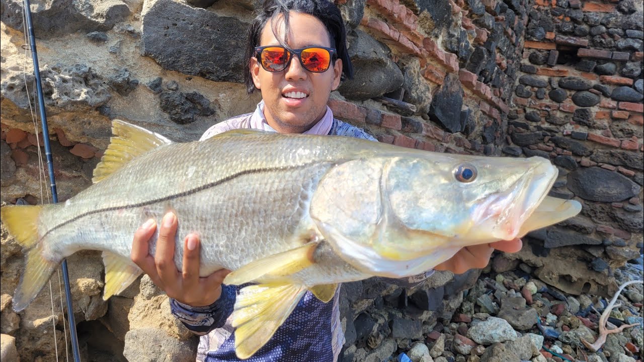 Pesca de ROBALO con señuelos blandos en el MAR del castillo de SALGAR ...