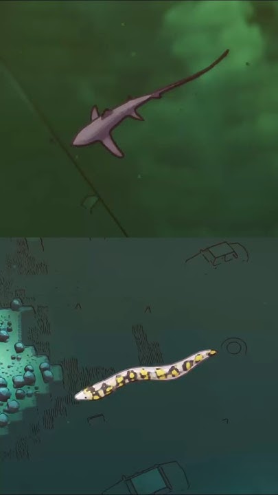 Adding a Thresher Shark and a Moray Eel to My Fish Game #gamedev #blender #substancepainter # ...