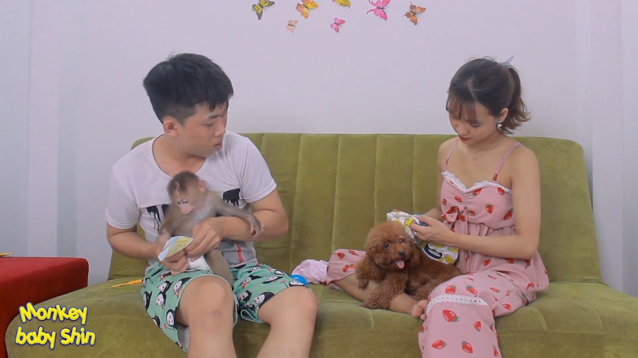 MOnkey Baby Shin Was Wearing a new Diaper and new Underwear Along with ...