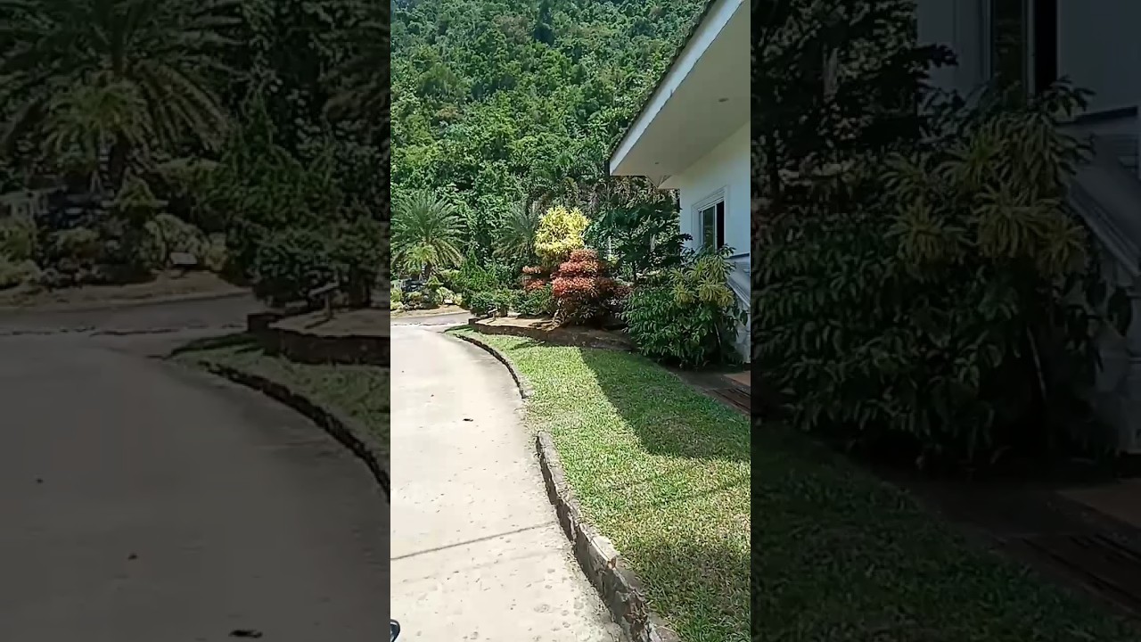 Villa Escober Resort #delovibes #kingslow - YouTube