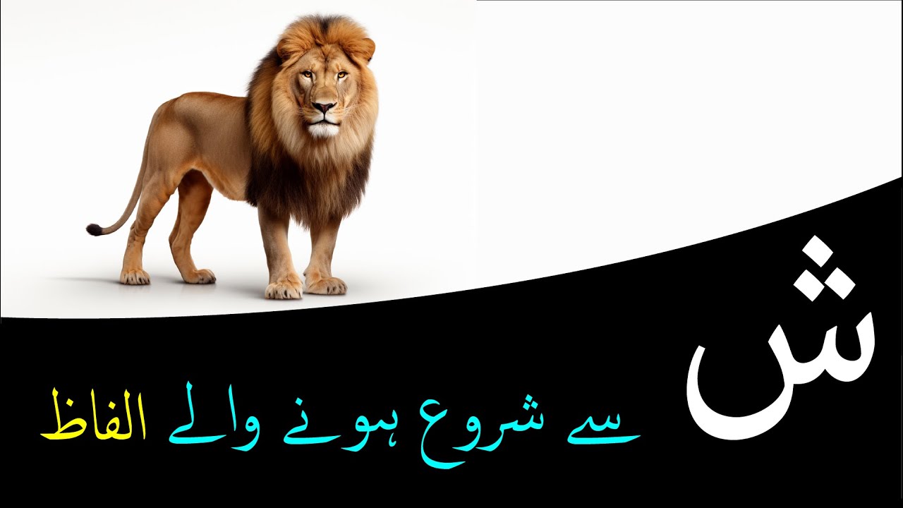 ش سے الفاظ - Urdu alphabet sheen words - YouTube