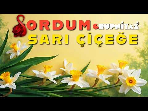Sordum Sarı Çiçeğe | Yunus Emre İlahi