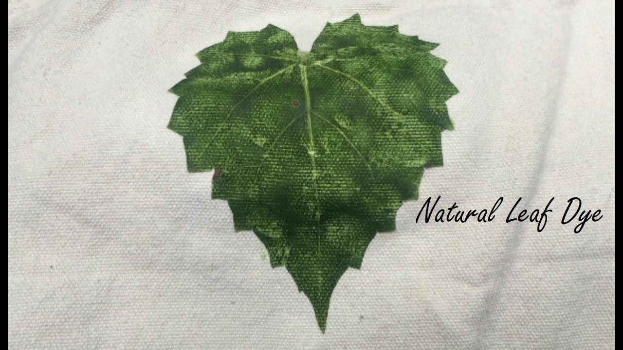DIY Ecoprint 🌼🦋Natural Leaf Dye !! - YouTube