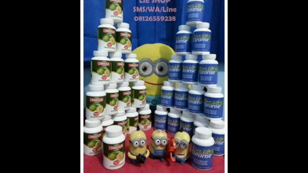 Paket Combo Cambogia Ultra dan Pure Life Cleanse - 08126559238 ...