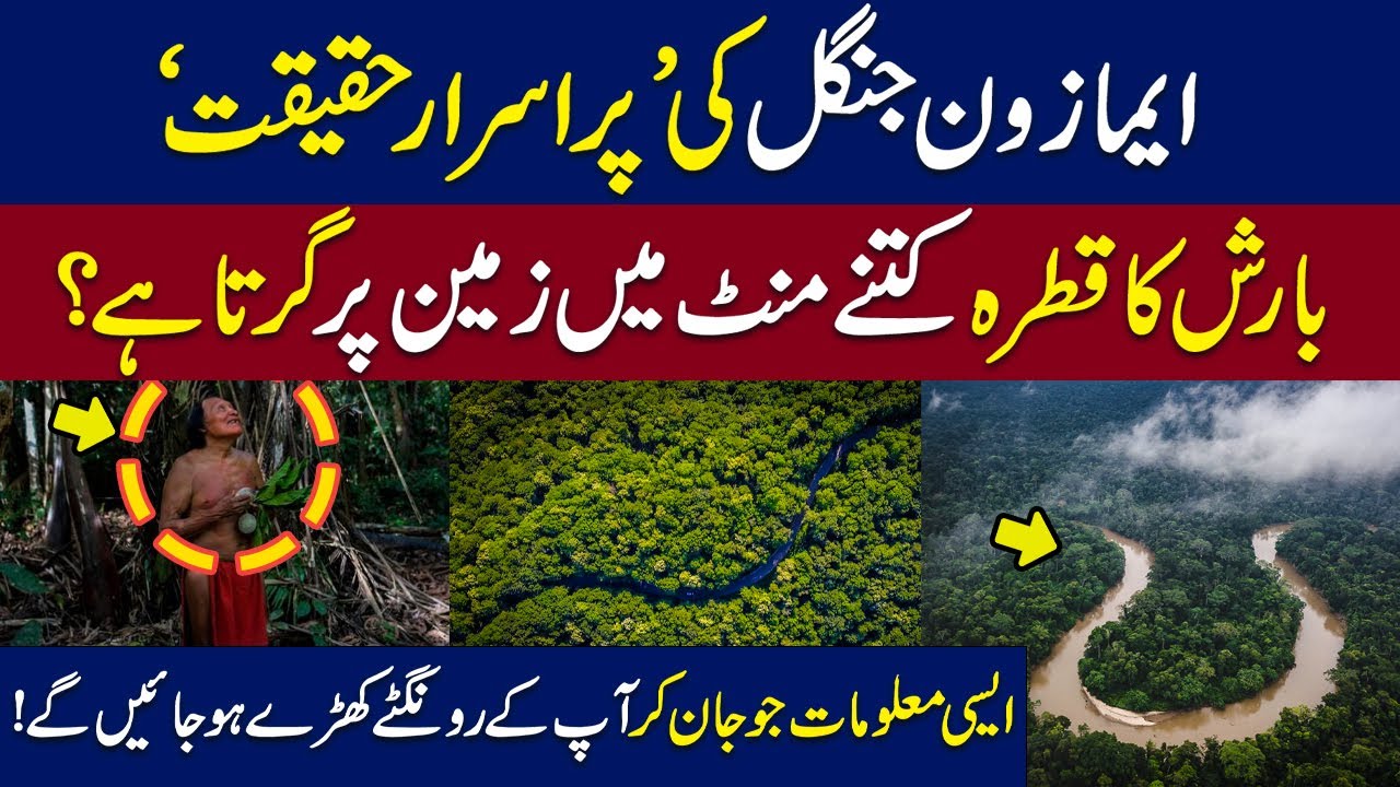 Amazon Jungle & Unsolved Mysteries| What is inside this Jungle ...