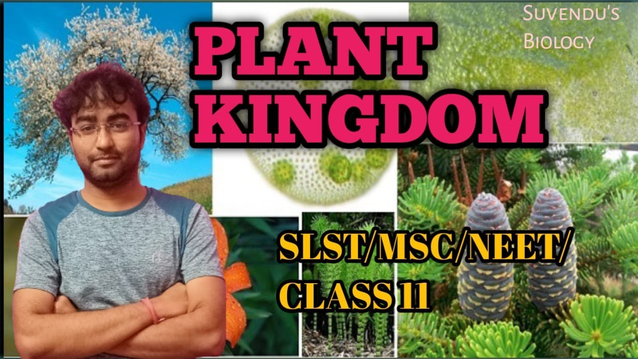 PLANT KINGDOM | PLANT CLASSIFICATION | উদ্ভিদ রাজ্যের শ্রেণীবিন্যাস ...