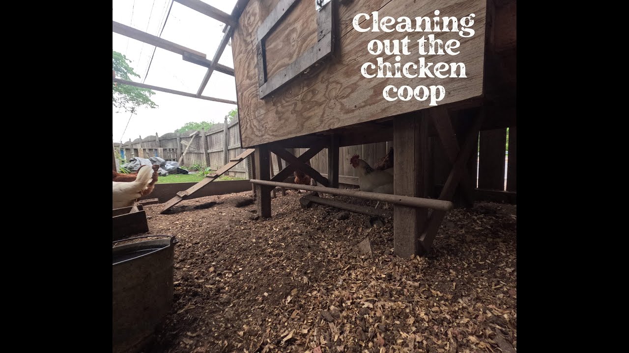 Cleaning out dirty chicken coop! - YouTube