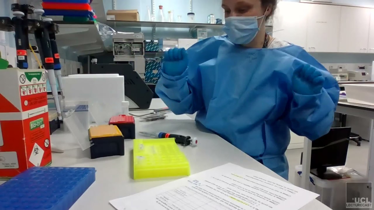 Oxford Nanopore Technologies Rapid Barcode Kit - Library preparation ...