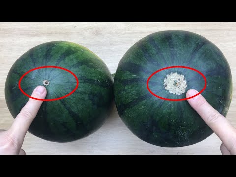 Just Look At These Points To Pick Fresh, Juicy Watermelons!