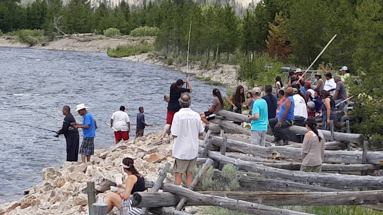 Stanley Idaho Sawtooth Hatchery, 2016 Chinook fishing season, Sho-Ban ...