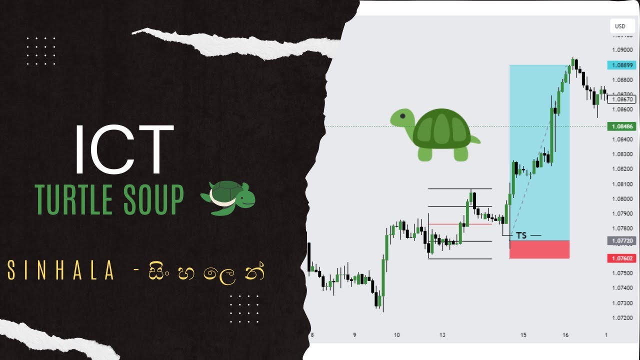 ICT Turtle Soup SINHALA සිංහලෙන් - YouTube