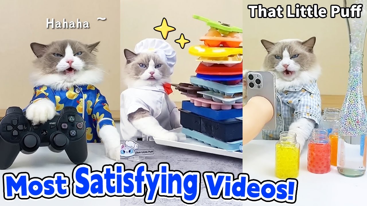 😄Most Satisfying Videos! Part2 | That Little Puff - YouTube