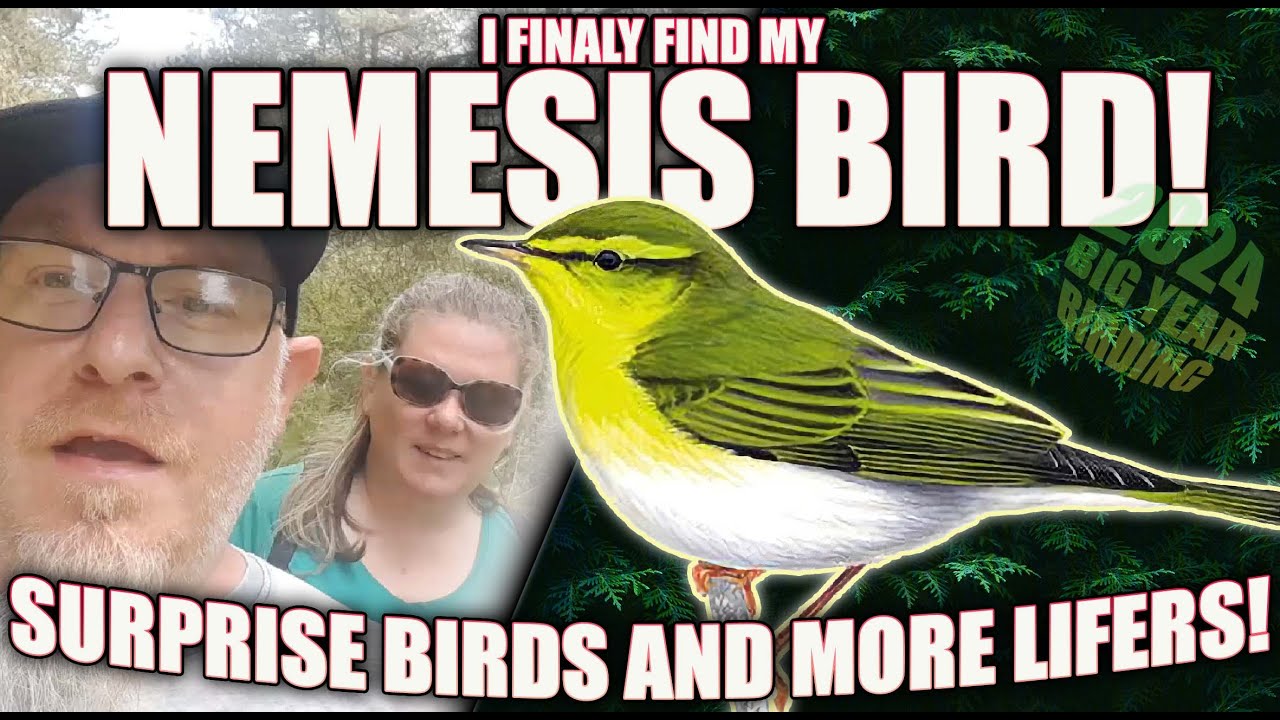 I FIND MY NEMESIS BIRD! Spring hots up with new birds and some Lifers ...