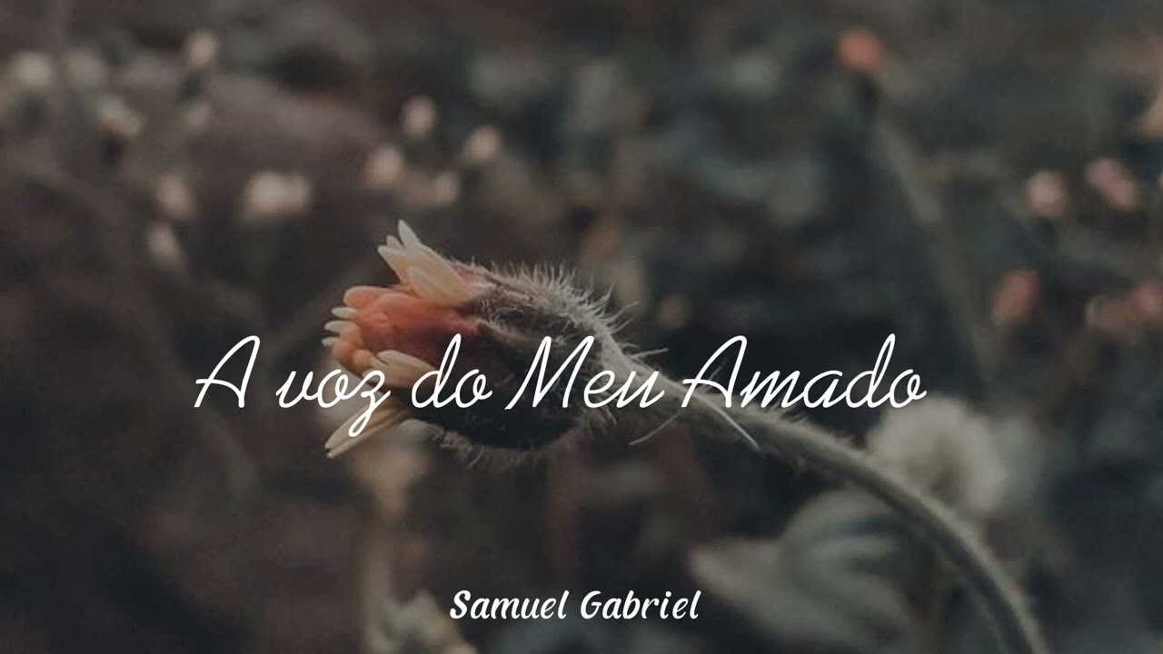 Hino Avulso CCB A voz do Meu Amado - Samuel Gabriel - YouTube