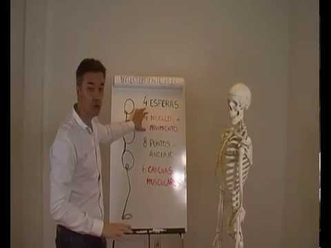 Reprogramación Corporal Postural a través de las Cadenas Musculares ...