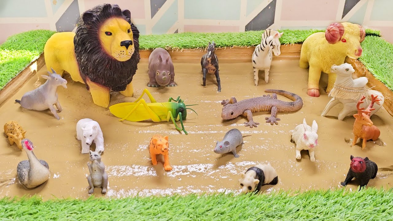 Giggle Grow and Meet the Mighty Jungle Animals Safari Creatures in the ...