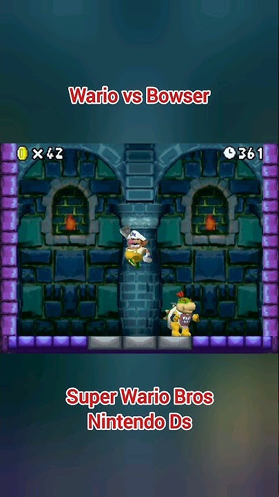 Wario VS Bowser Nintendo Ds - YouTube