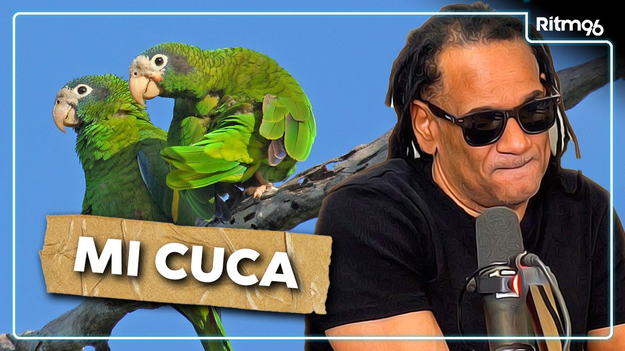 ¿Como se llama tu cuca? - YouTube