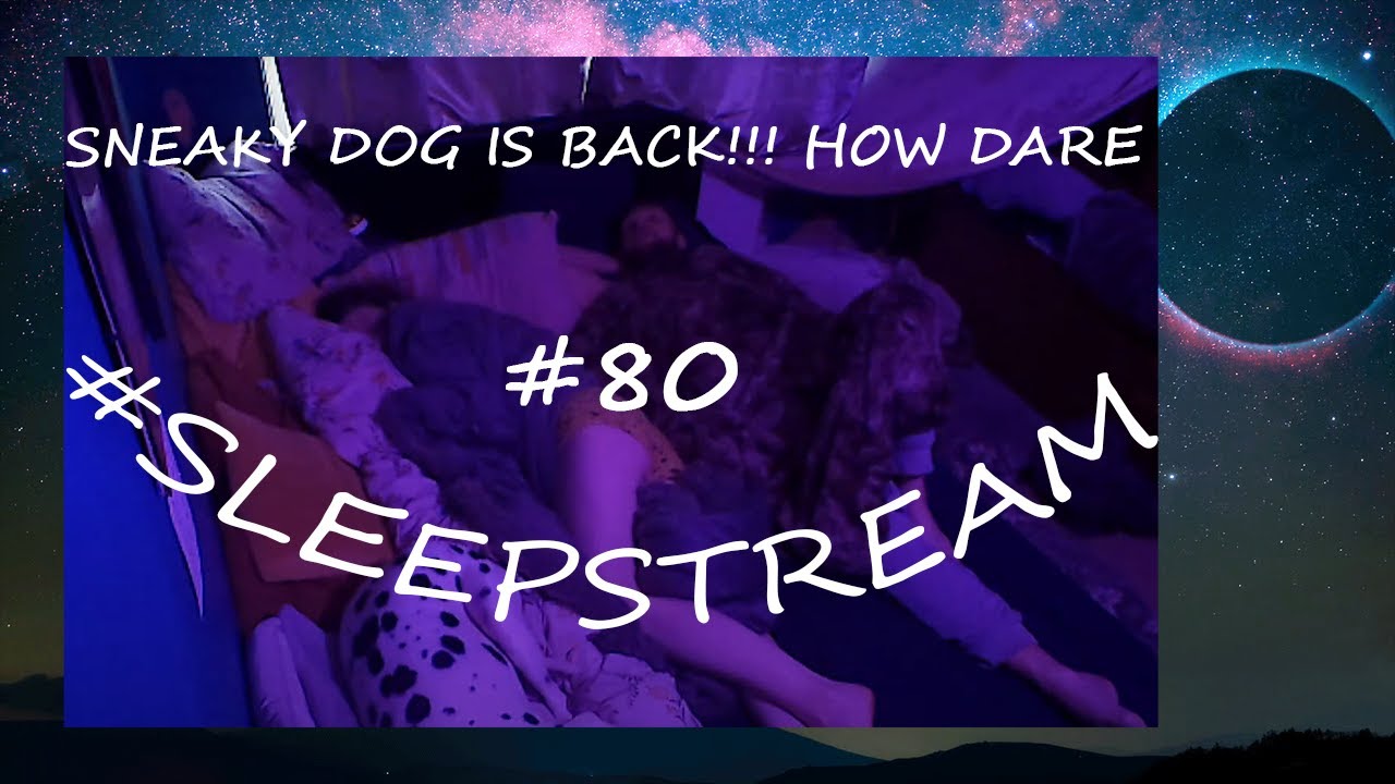 finally Friday night! Just sleeping LIVE SLEEP STREAM 80 #sleepstream ...