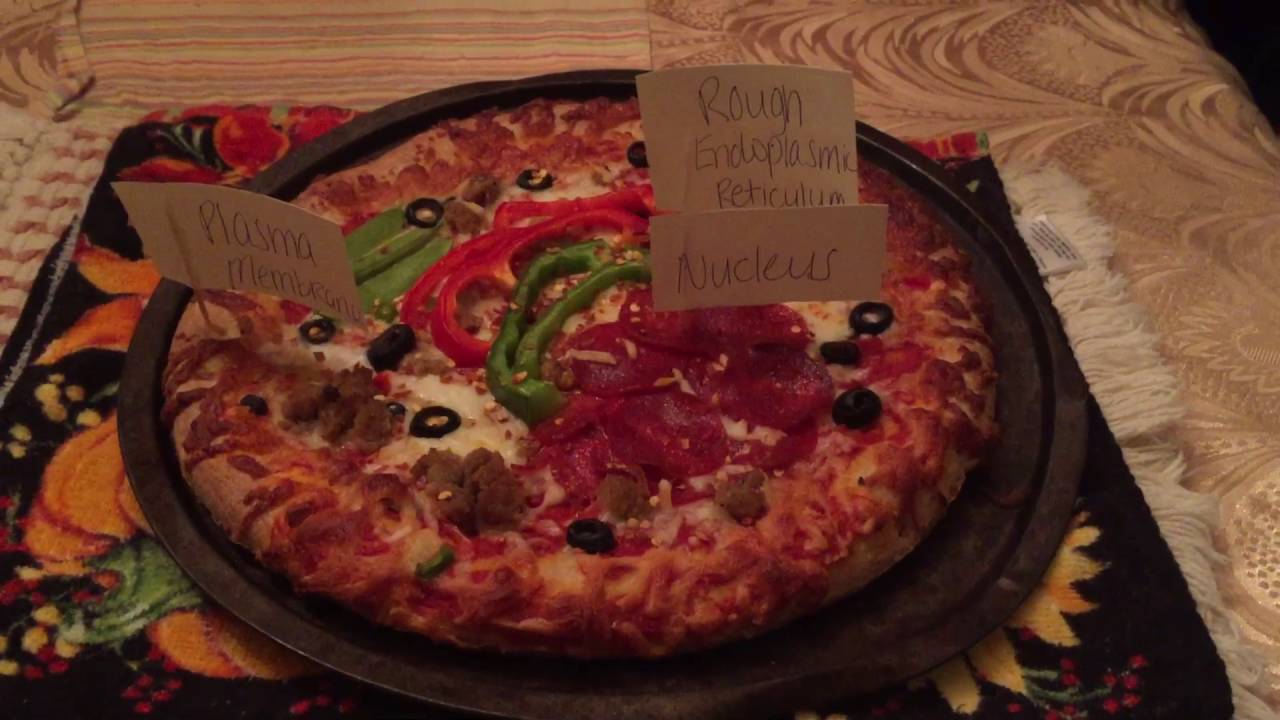 Pizza cell demonstration - YouTube