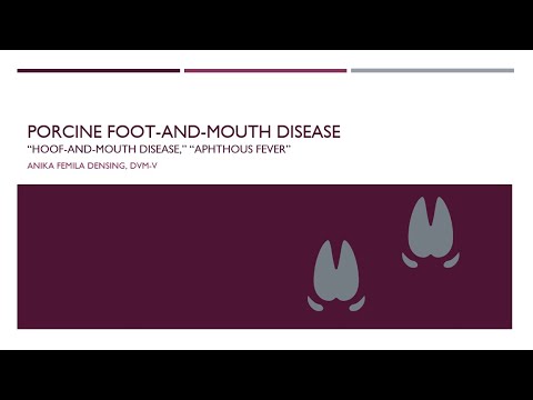 DENSING - Porcine Foot-And-Mouth Disease - YouTube