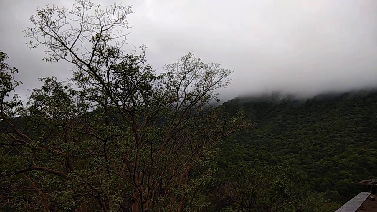 Dhimbam Ghat Road during Monsoon - திம்பம் மலை பாதை - YouTube