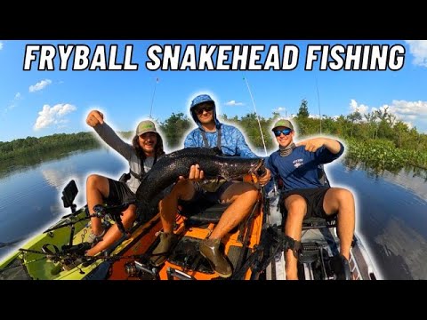 How to Catch Snakehead on Fry Balls - YouTube
