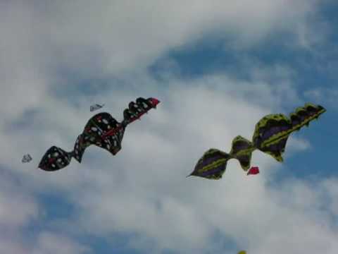 Kinetic kites - sea slug kites - YouTube
