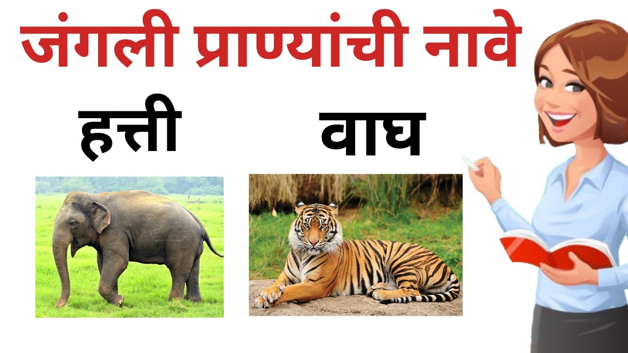 Wild Animal Names with Pictures and Spellings in Marathi | Learn ...