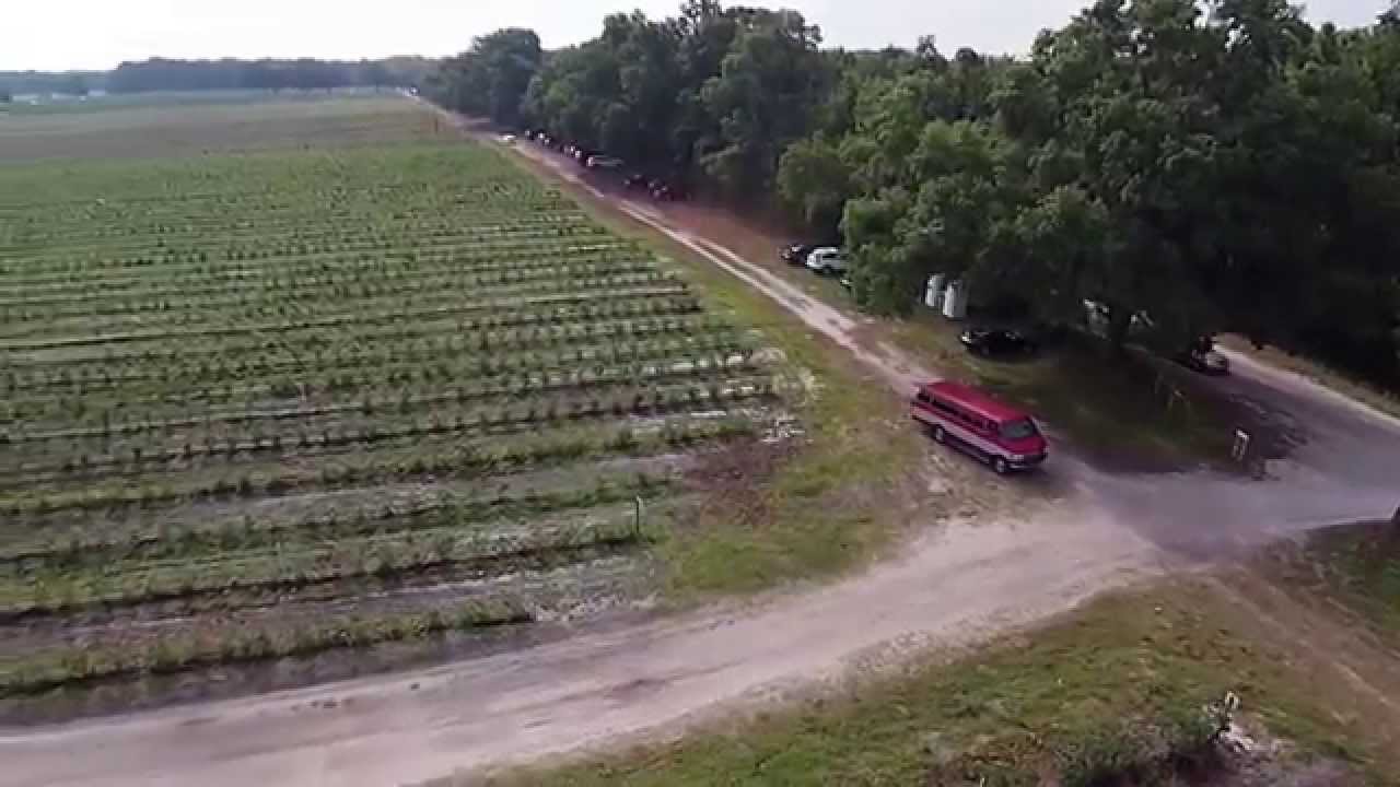Blueberry farm 05252014 - YouTube