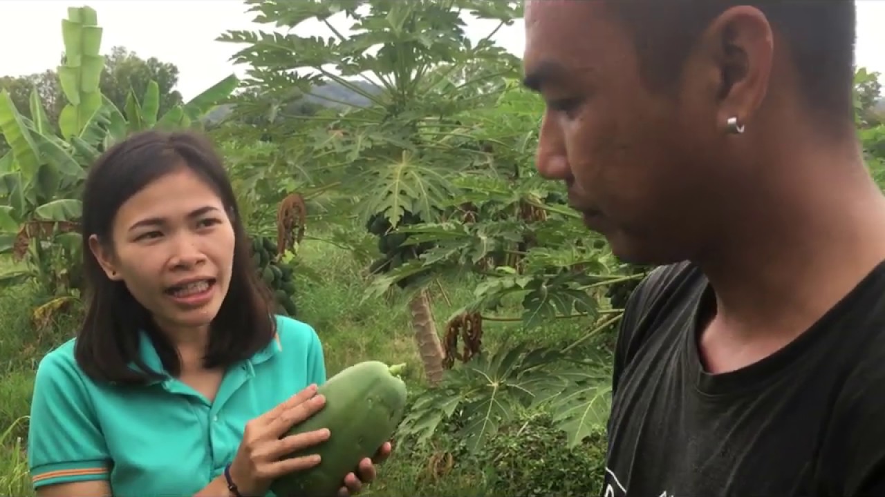 The Smart Farmer EP.10 - YouTube